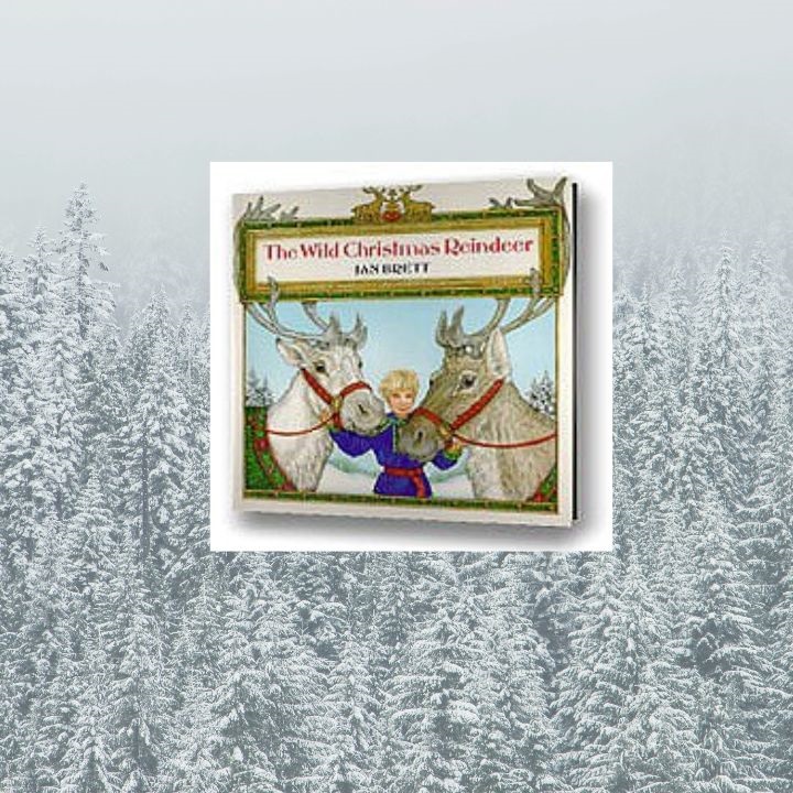 Nordic Stories: December 2022 (The Wild Christmas Reindeer) | National ...