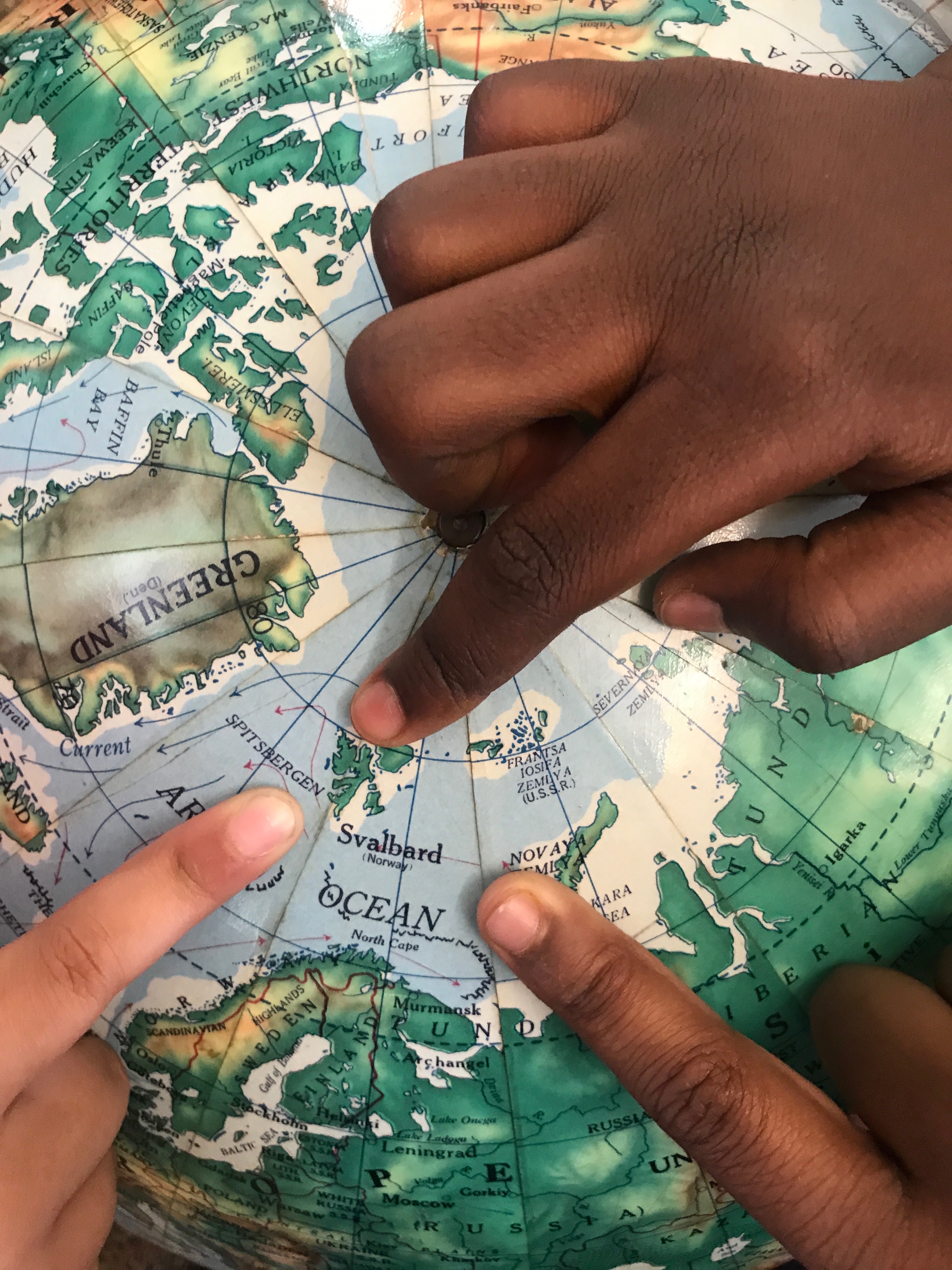 Ar(c)t(ic) Design | National Nordic Museum